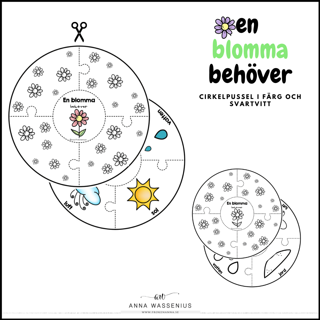 En blomma behöver ... skolmaterial - Fröken Anna