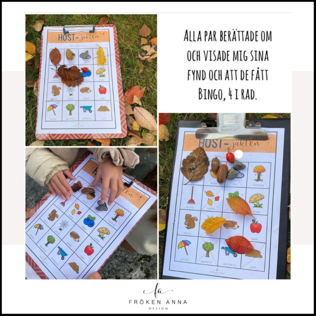 Höstjakten (promenad-, skogs-, eller höstbingo) skolmaterial - Fröken Anna