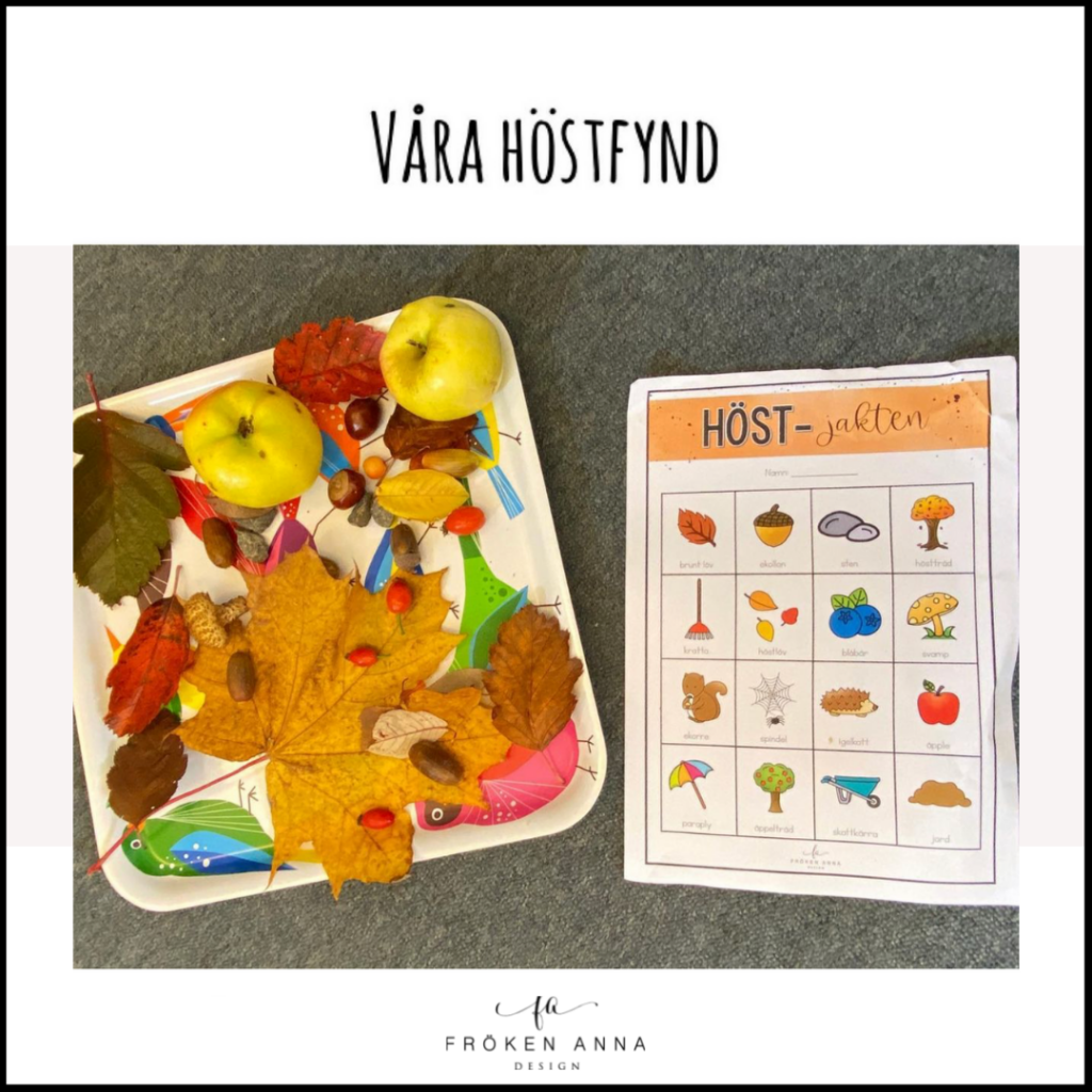 Höstjakten (promenad-, skogs-, eller höstbingo) skolmaterial - Fröken Anna