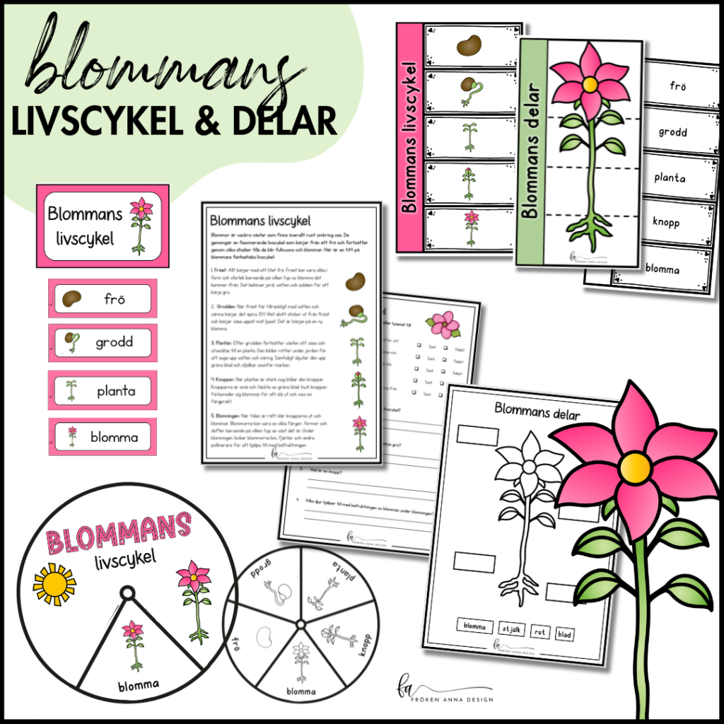 Årshjul med bildstöd - Fröken Anna