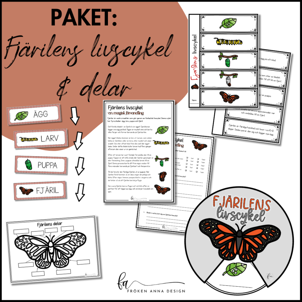 PAKET: Fjärilens livscykel & delar – Fröken Anna