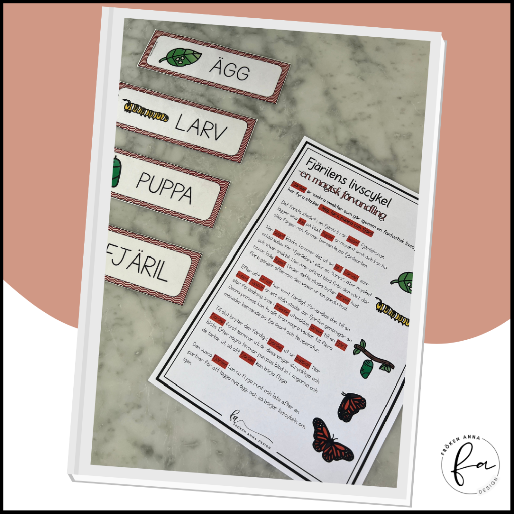 Fjärilens livscykel: Bildstöd - Fröken Anna